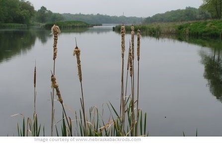 City Of Neligh - Camping